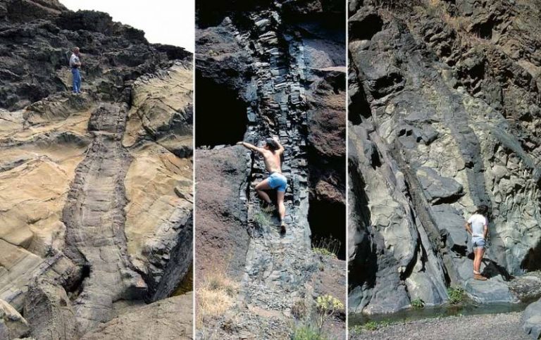 01 Diques. Aspecto General - Museos de Tenerife - Museo de Naturaleza y ...