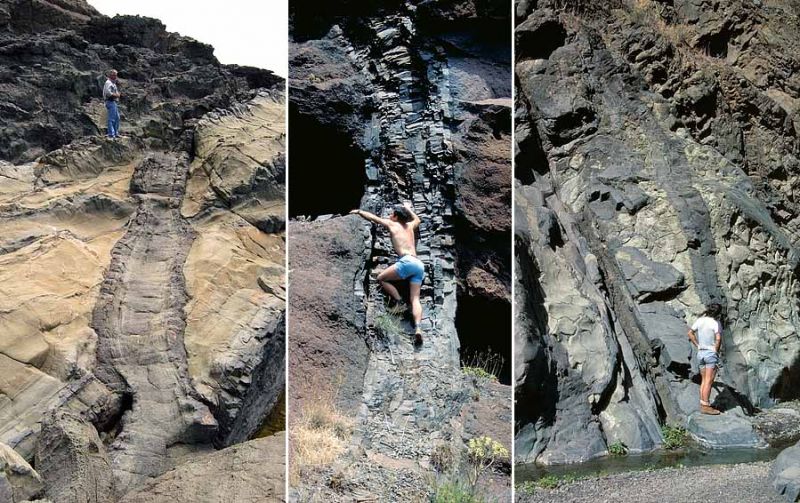 01 Diques. Aspecto General - Museos de Tenerife - Museo de Naturaleza y ...