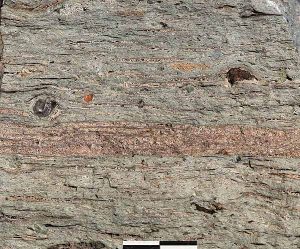 08 Ignimbrita soldada con muchas flamas - Museos de Tenerife - Museo de ...