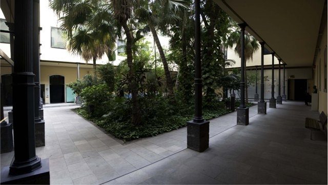Patio "Manuel Oraá" - Museos de Tenerife - Museo de Naturaleza y ...
