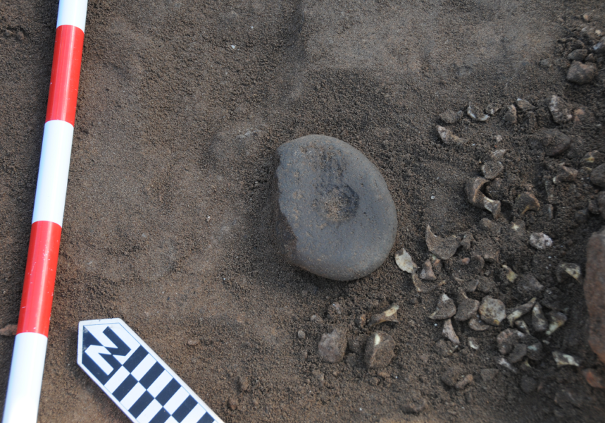 La investigación arqueológica en el Taller de Púrpura Romano de Lobos ...