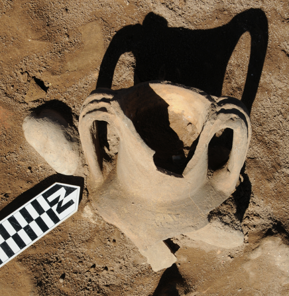 La investigación arqueológica en el Taller de Púrpura Romano de Lobos ...