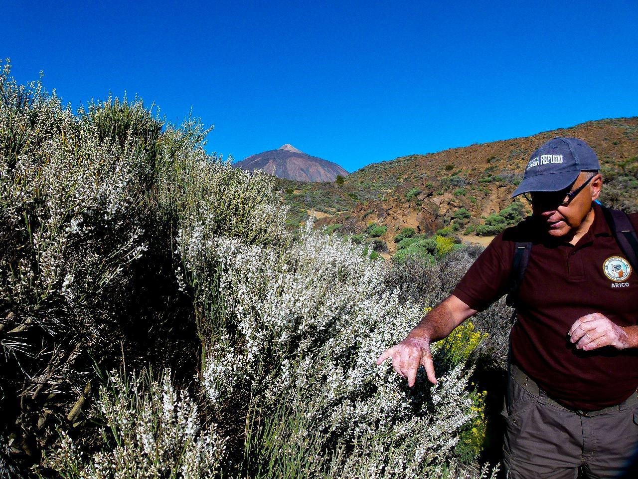 Los Amigos del MUNA organizan un paseo primaveral por los jardines ...