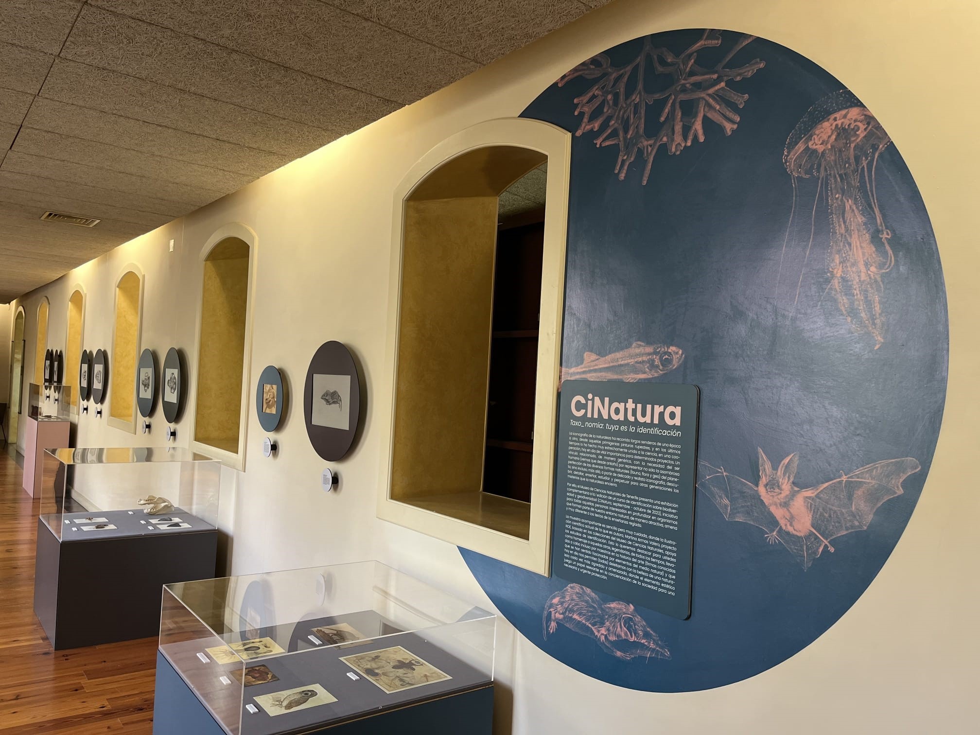 Visita para escolares a la muestra temporal «CiNatura: exposición de ...