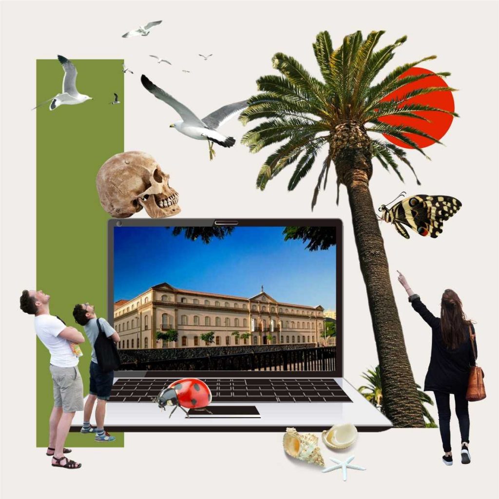 visitas virtuales archivos - Museos de Tenerife