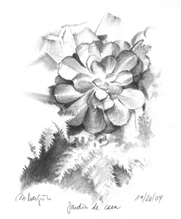 Taller de Iniciación al Dibujo del Natural en el Museo - Museos de Tenerife