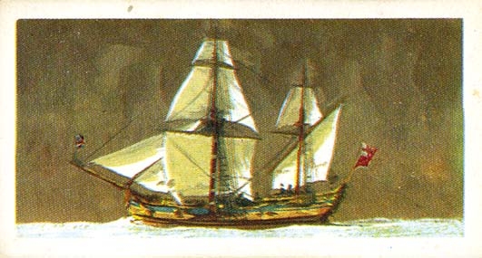 Nonsuch. The Saga of Ships - Museos de Tenerife