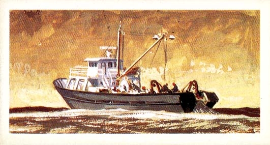 Trawler. The Saga of Ships - Museos de Tenerife